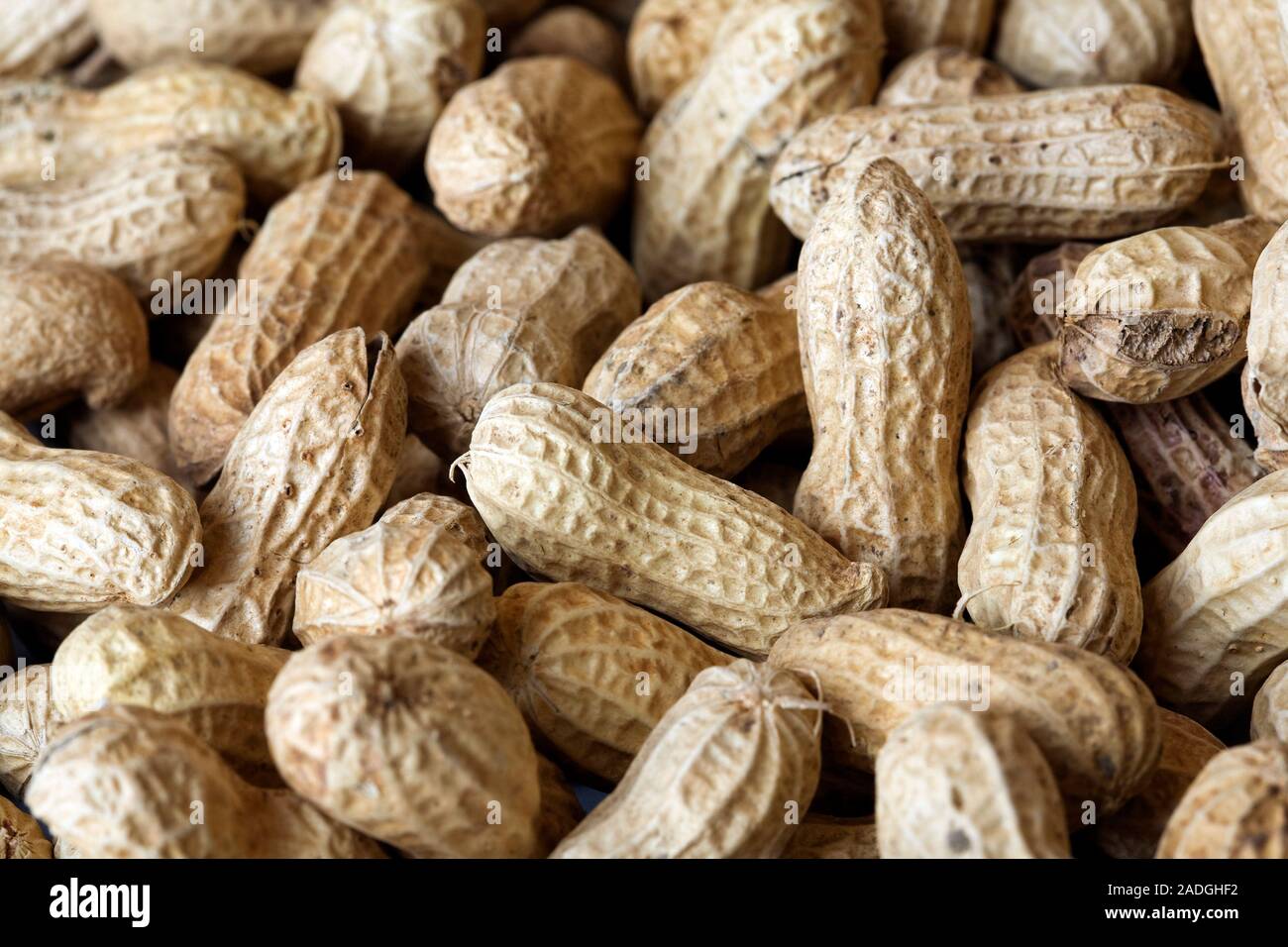 Peanuts. These are the fruits of the groundnut plant (Arachis hypogaea ...
