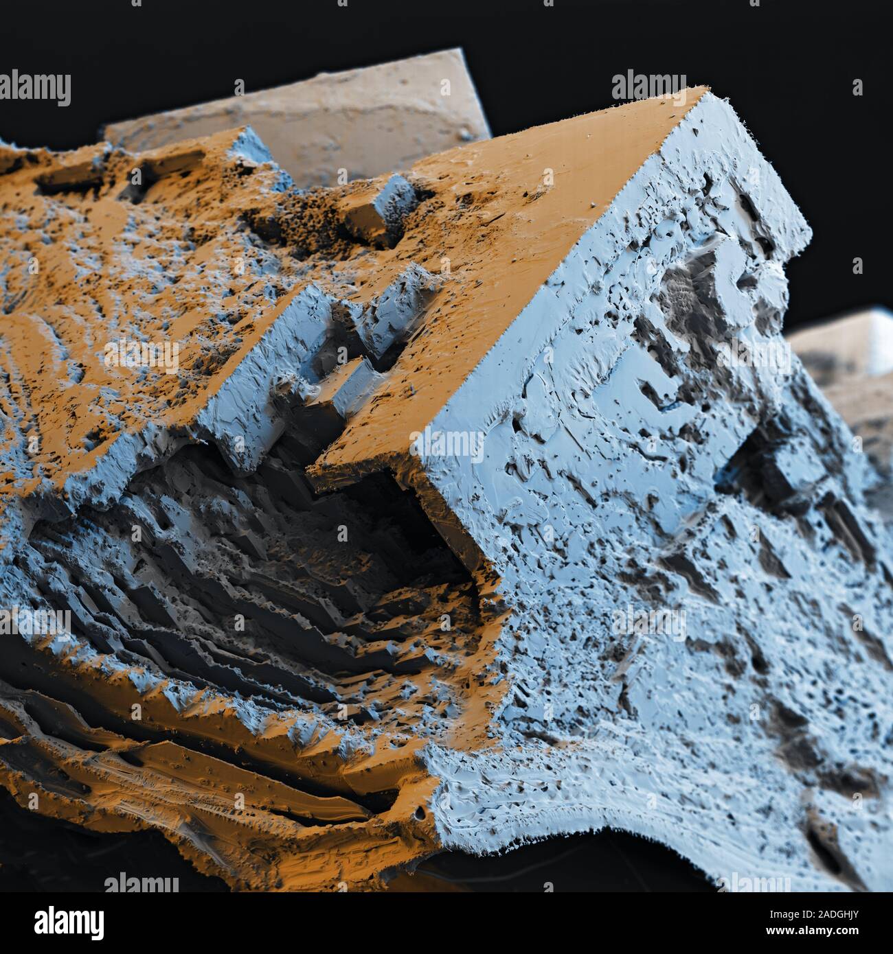 Common salt crystals. Coloured scanning electron micrograph (SEM) of ...