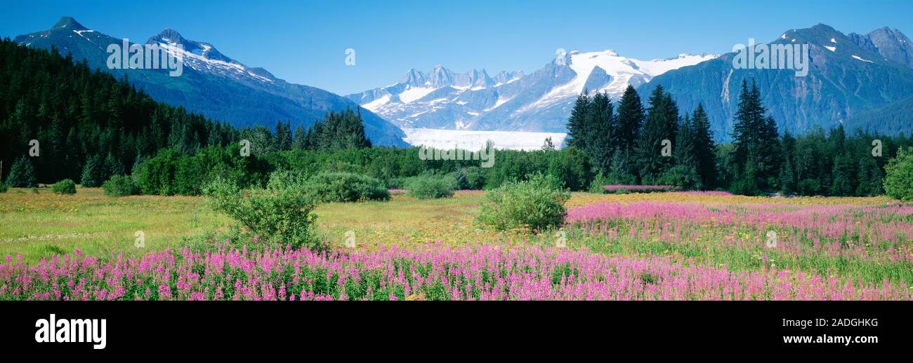 Sunny juneau hi-res stock photography and images - Alamy