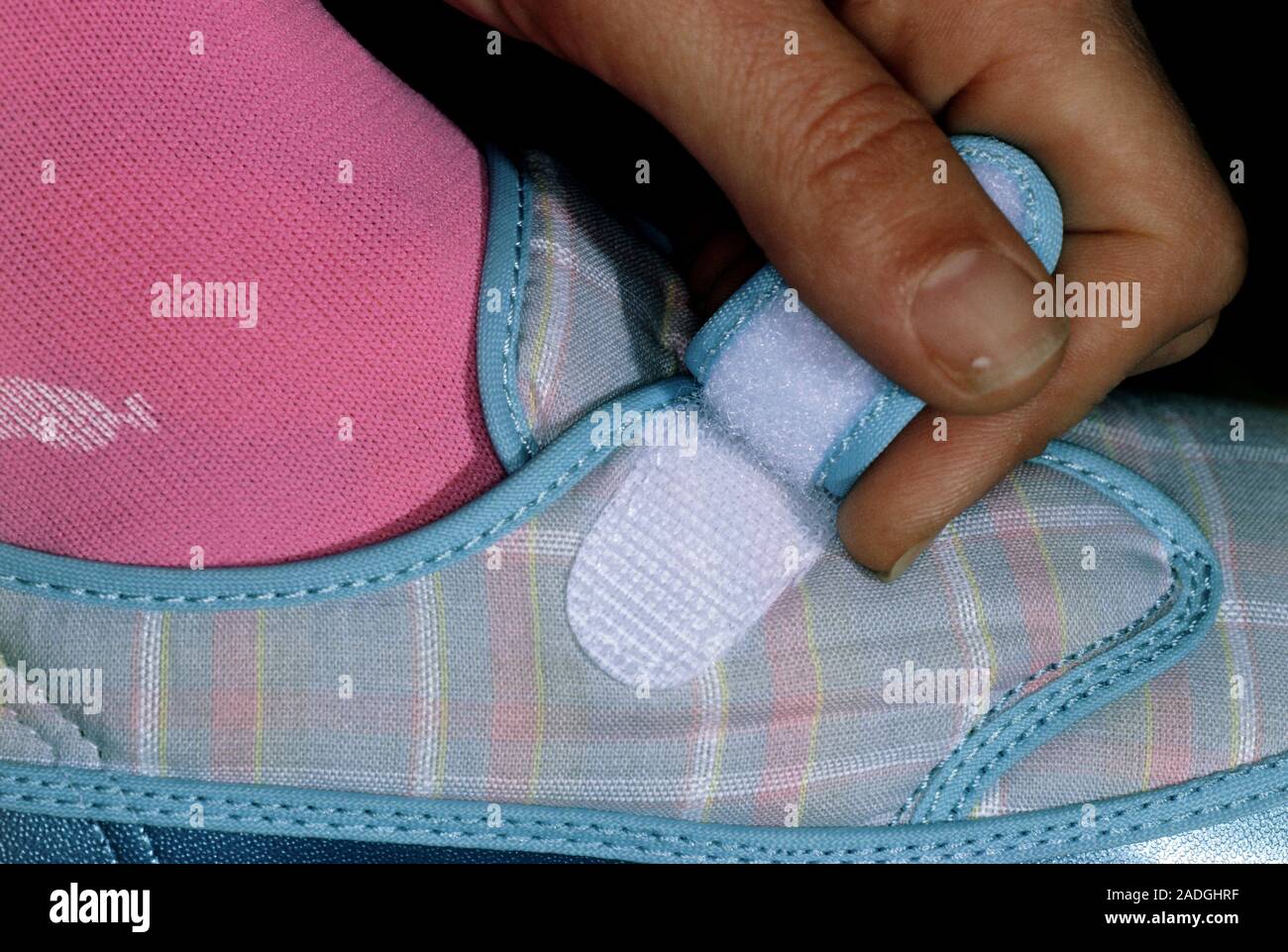 A hooks and loops fastener used on a pair of shoes. It is a nylon ...