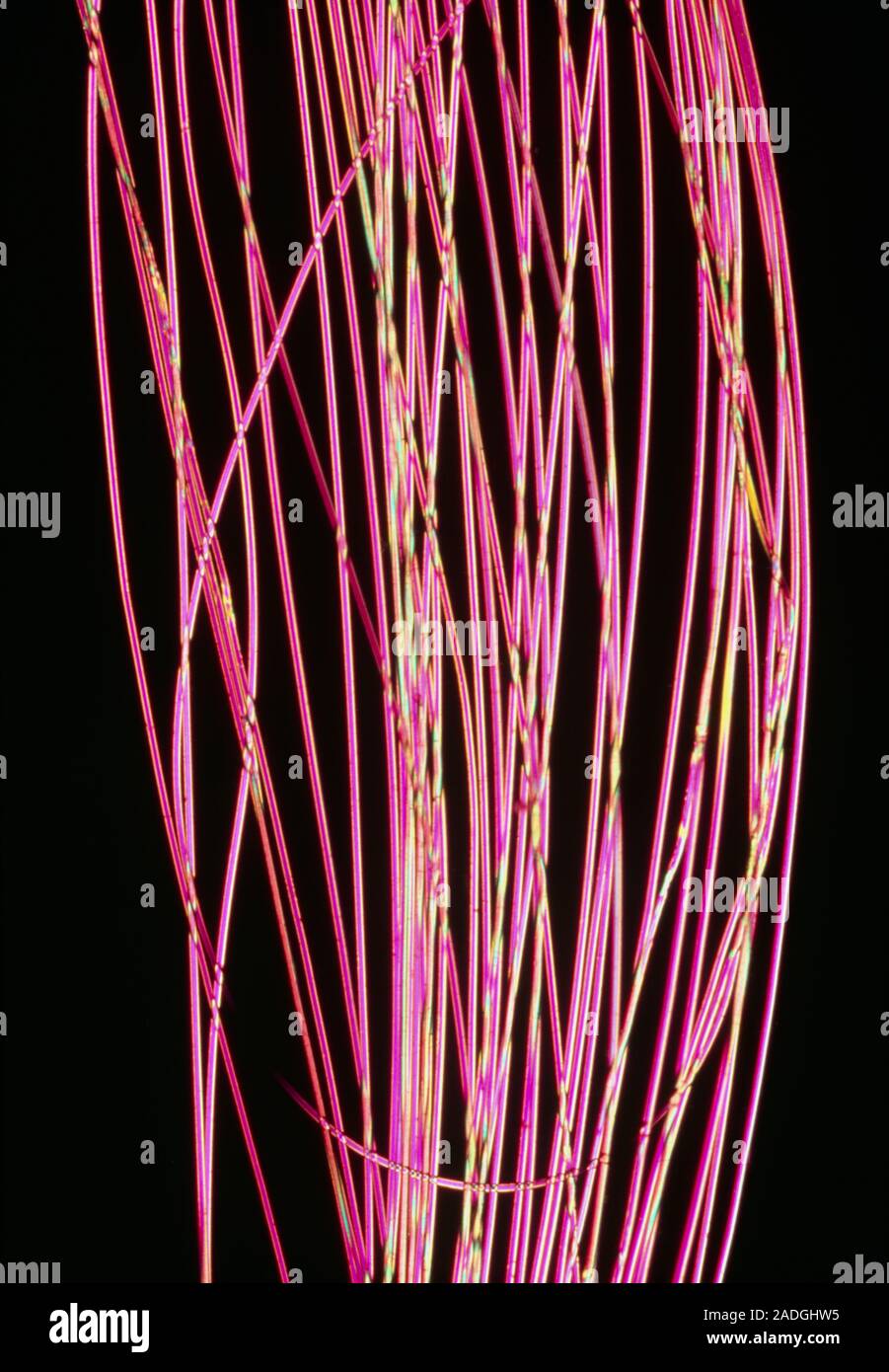 Polarised light micrograph of fibres of nylon. Nylon is a generic term ...