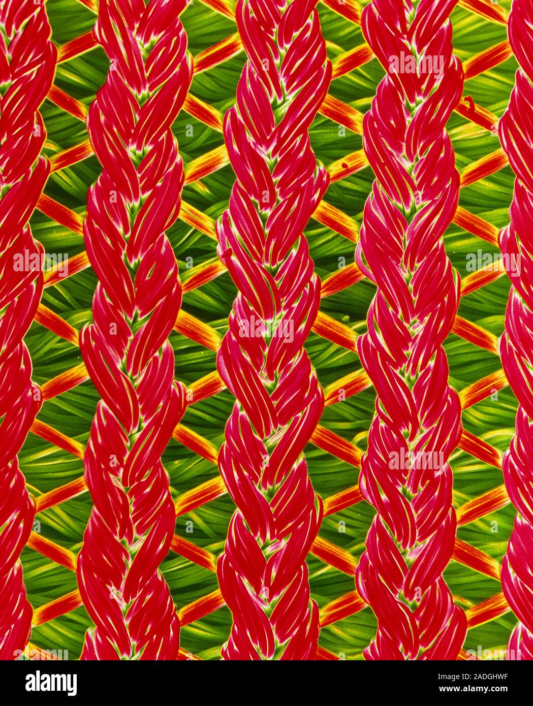 False-colour scanning electron micrograph of a fabric woven from nylon ...