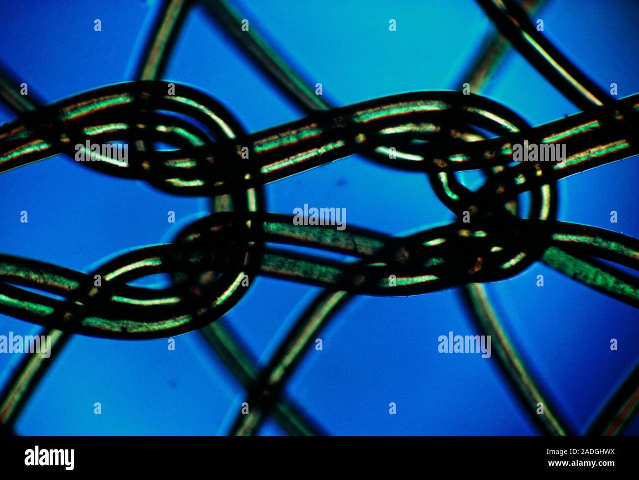 Nylon stocking fibres. Light micrograph of the weave of a nylon ...