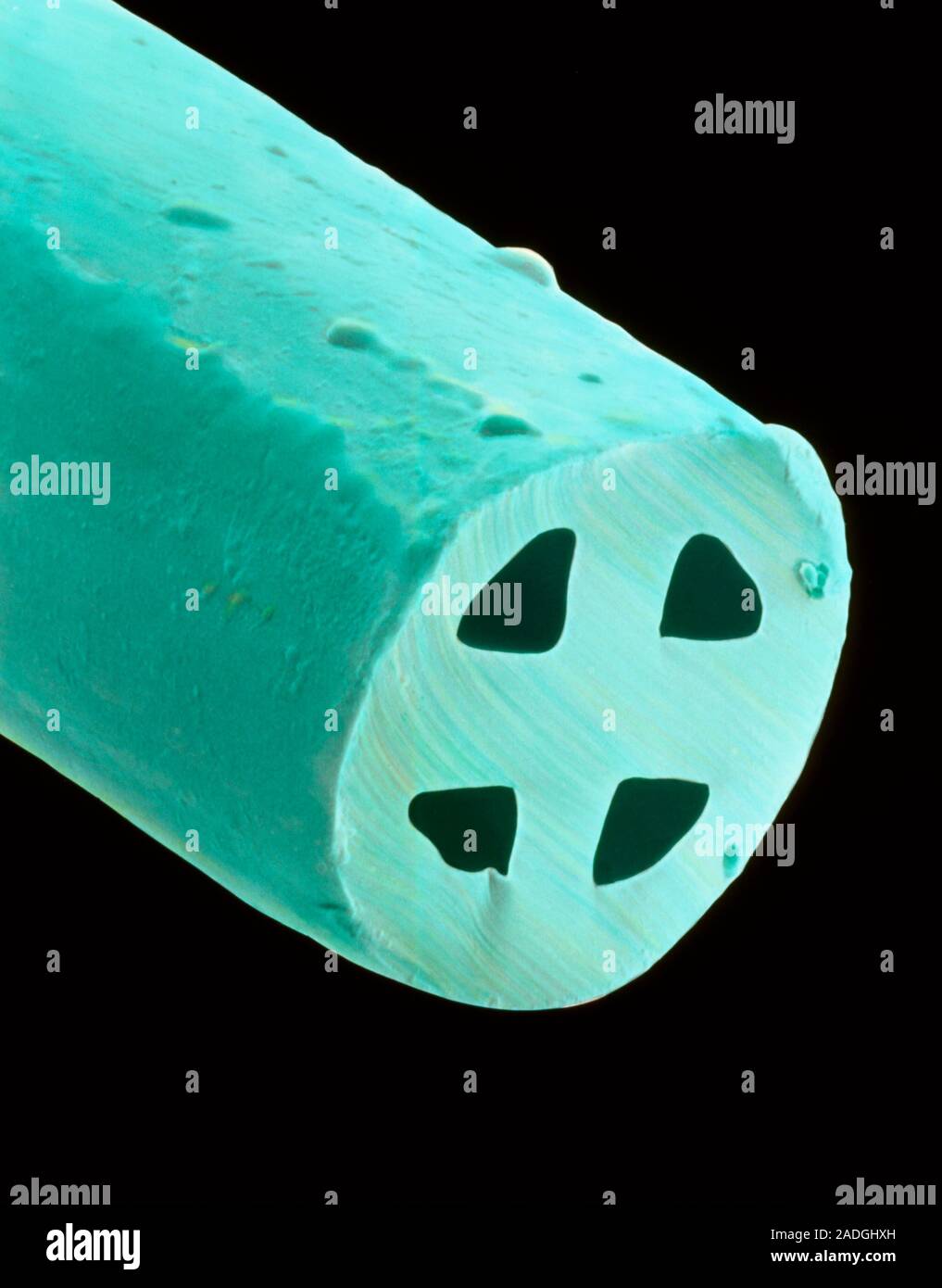 Insulation. Coloured scanning electron micrograph of a fibre of a ...
