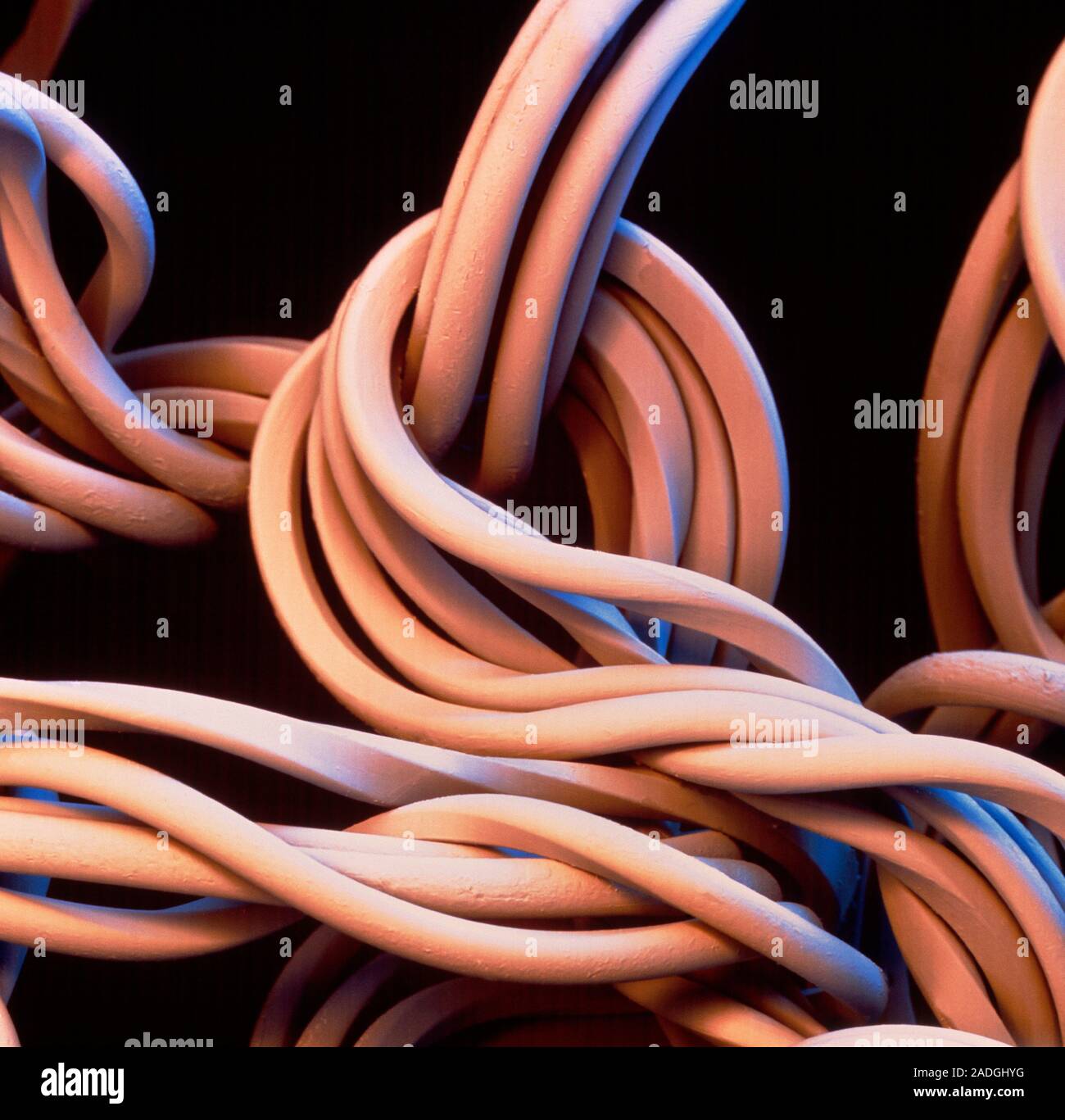 Nylon stocking fibres. Coloured Scanning Electron Micrograph (SEM) of ...
