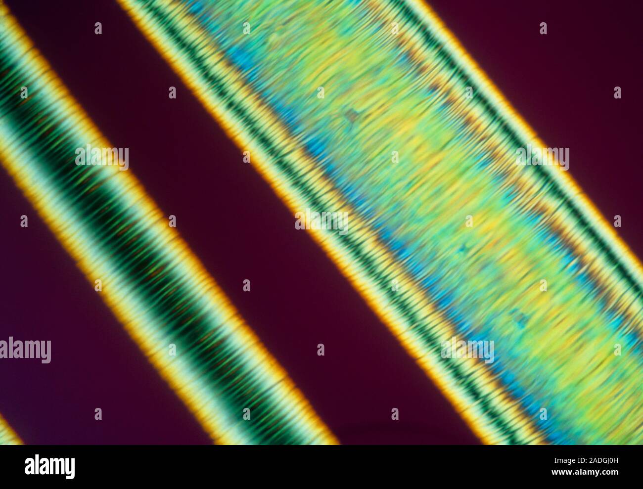 Liquid crystal fibres. Polarised light micrograph (PLM) of an extruded ...