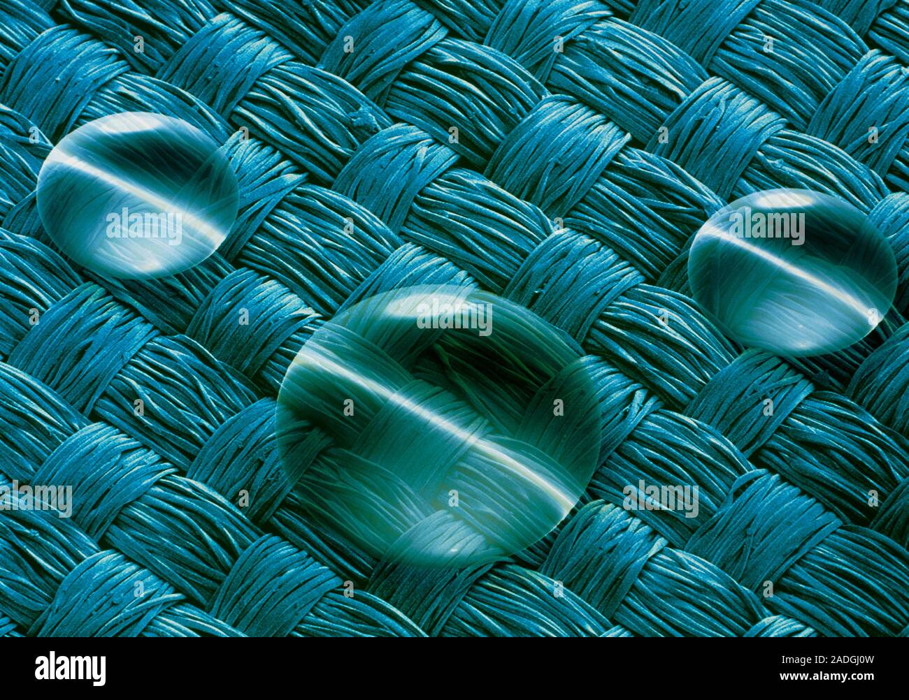 Waterproof clothing. Coloured scanning electron micrograph (SEM) of the ...