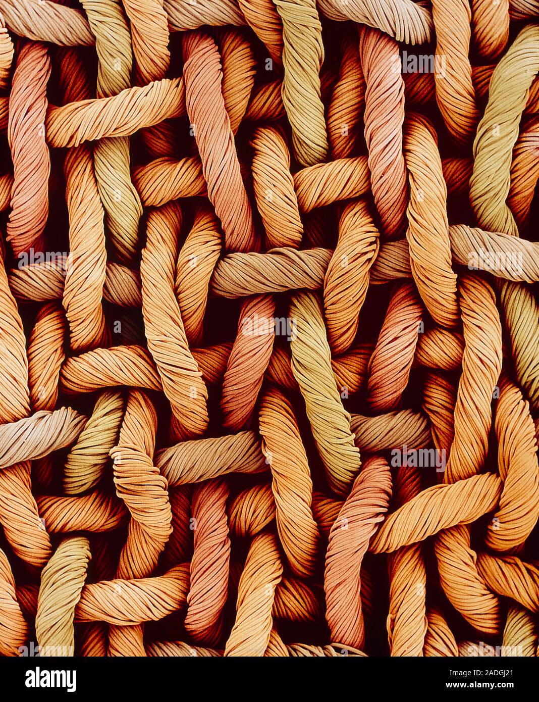 Woven fabric fibres. Coloured scanning electron micrograph (SEM) of ...