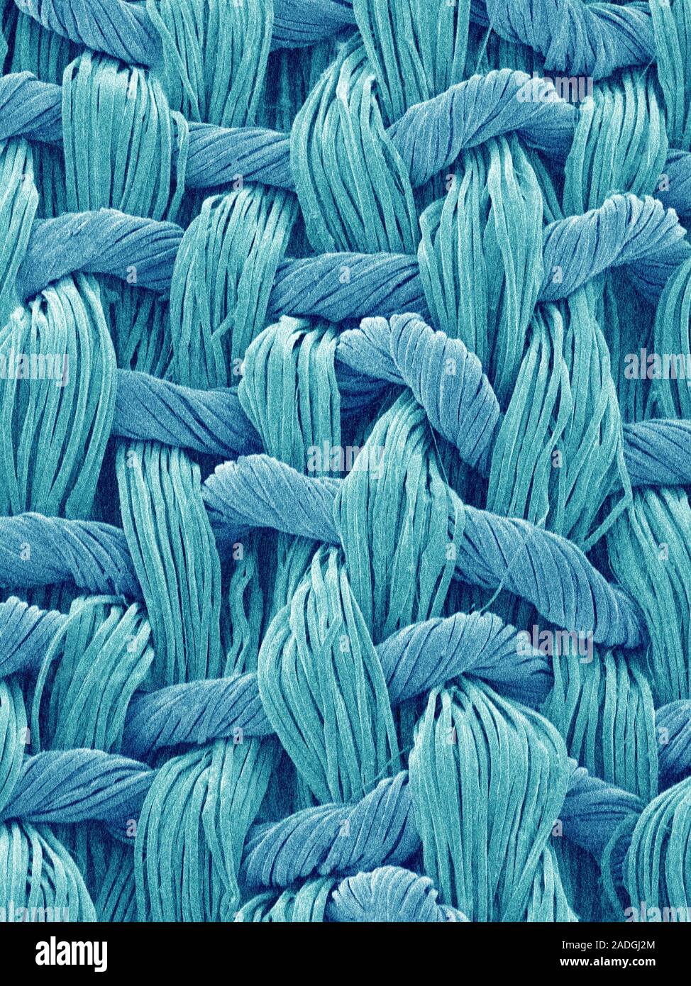 Synthetic fibres. Coloured scanning electron micrograph (SEM) of ... Synthetic fibres. Coloured scanning electron micrograph (SEM) of ...