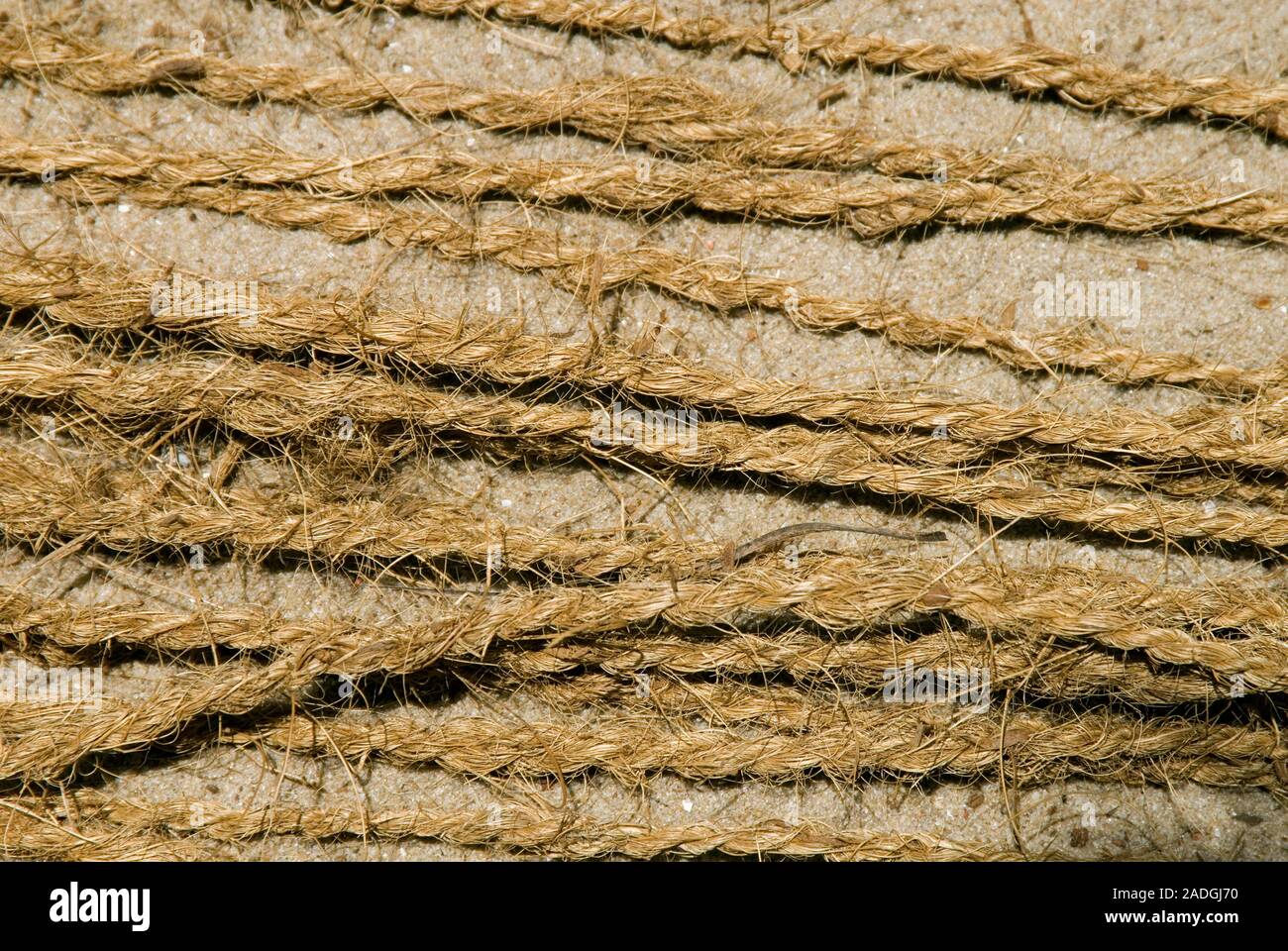 Coir rope. Coir is a coarse fibre derived from tissue surrounding ...