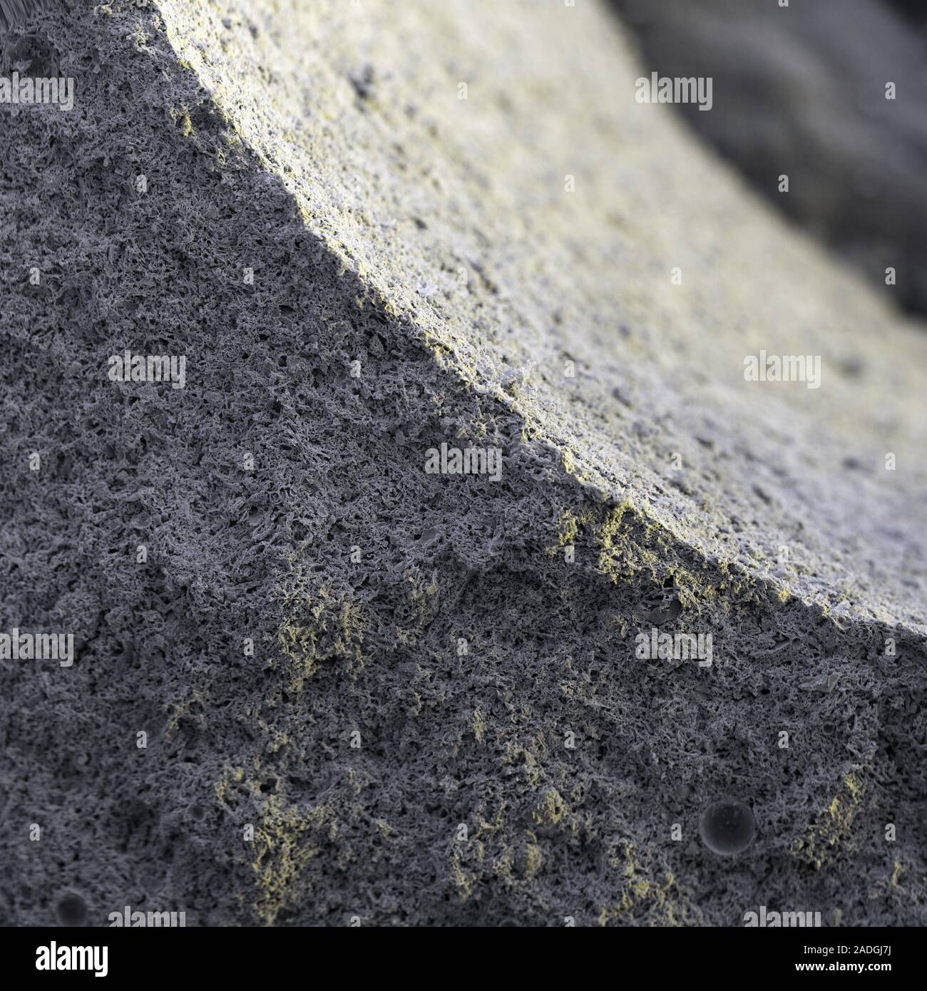Ceramic filter, coloured scanning electron micrograph (SEM). This ...