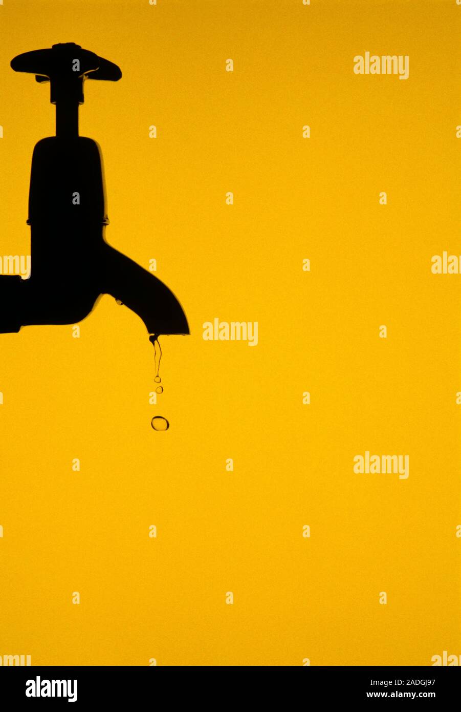Water dripping from a tap. yellow background Stock Photo - Alamy