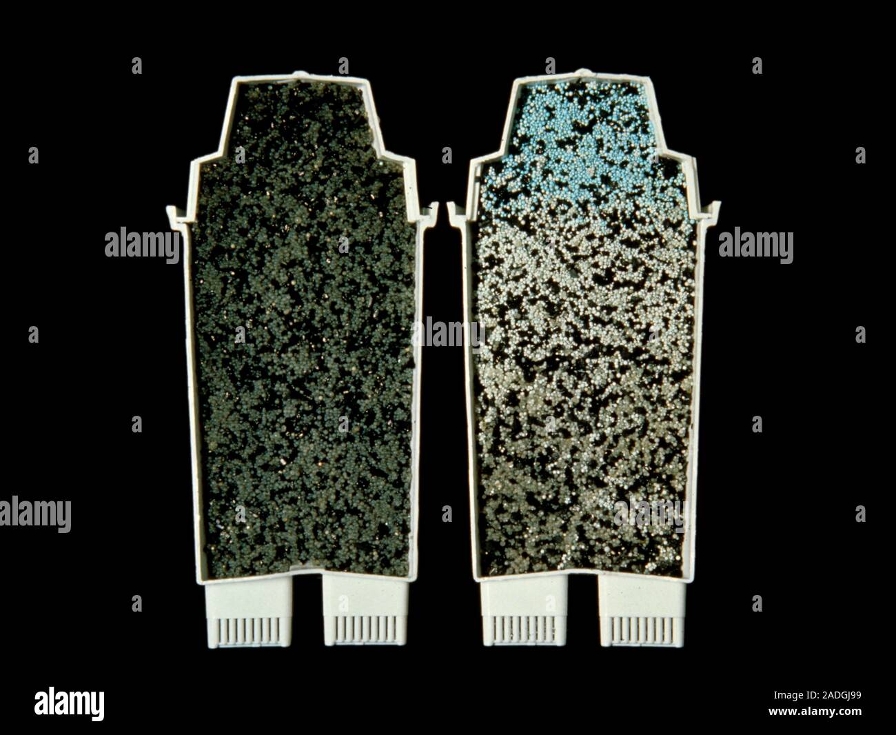 Comparison showing the sectioned contents of a Brita water filter as ...