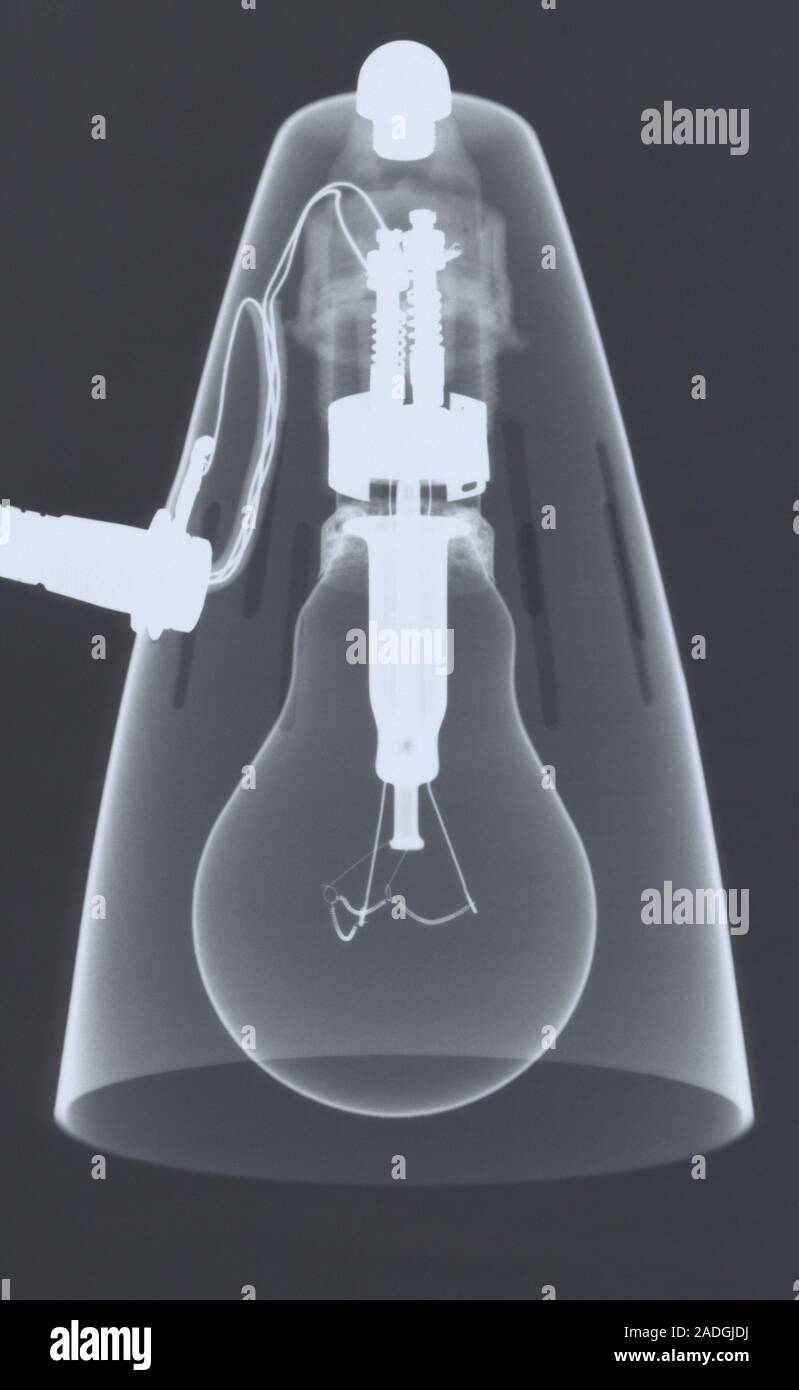 Lamp. X-ray of the head of a lamp Stock Photo - Alamy