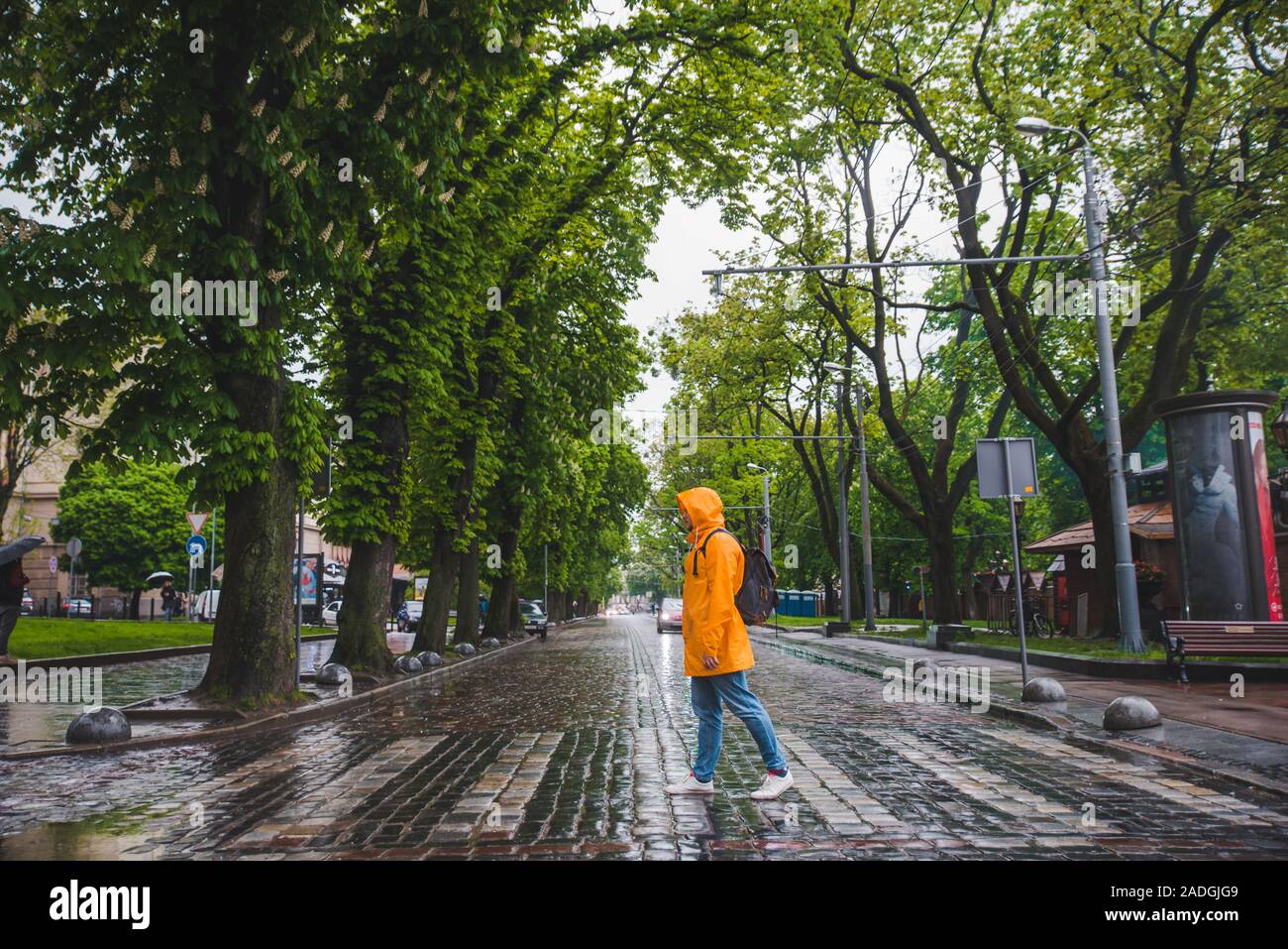 man crossing street in yellow raincoat. overcast weather Stock Photo ...