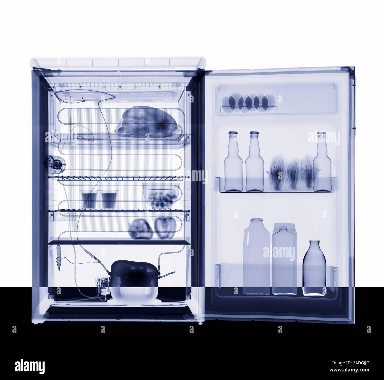 Fridge, X-ray. The door of the refrigerator is open, revealing bottles ...