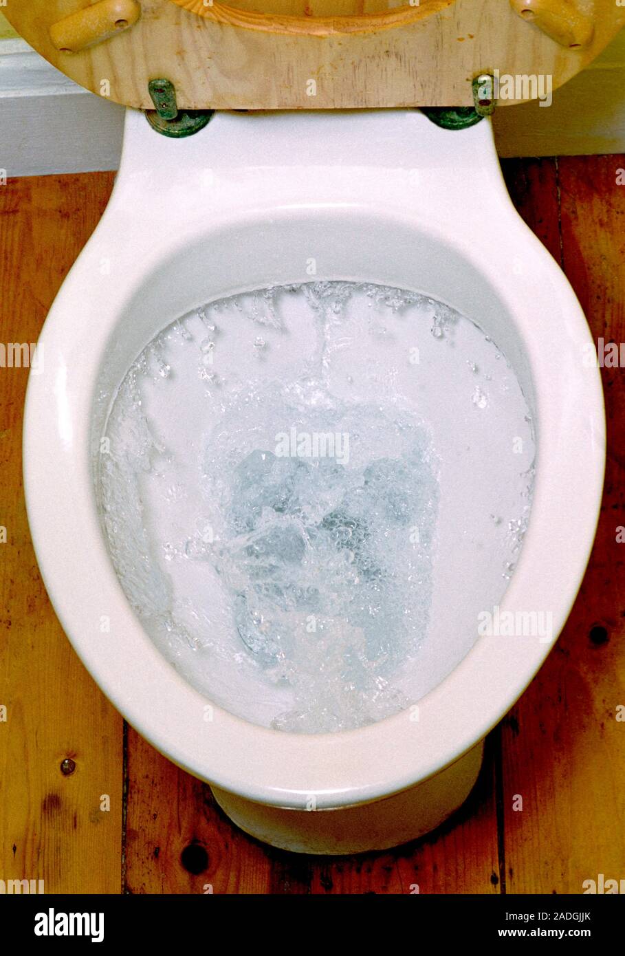 Toilet being flushed Stock Photo - Alamy