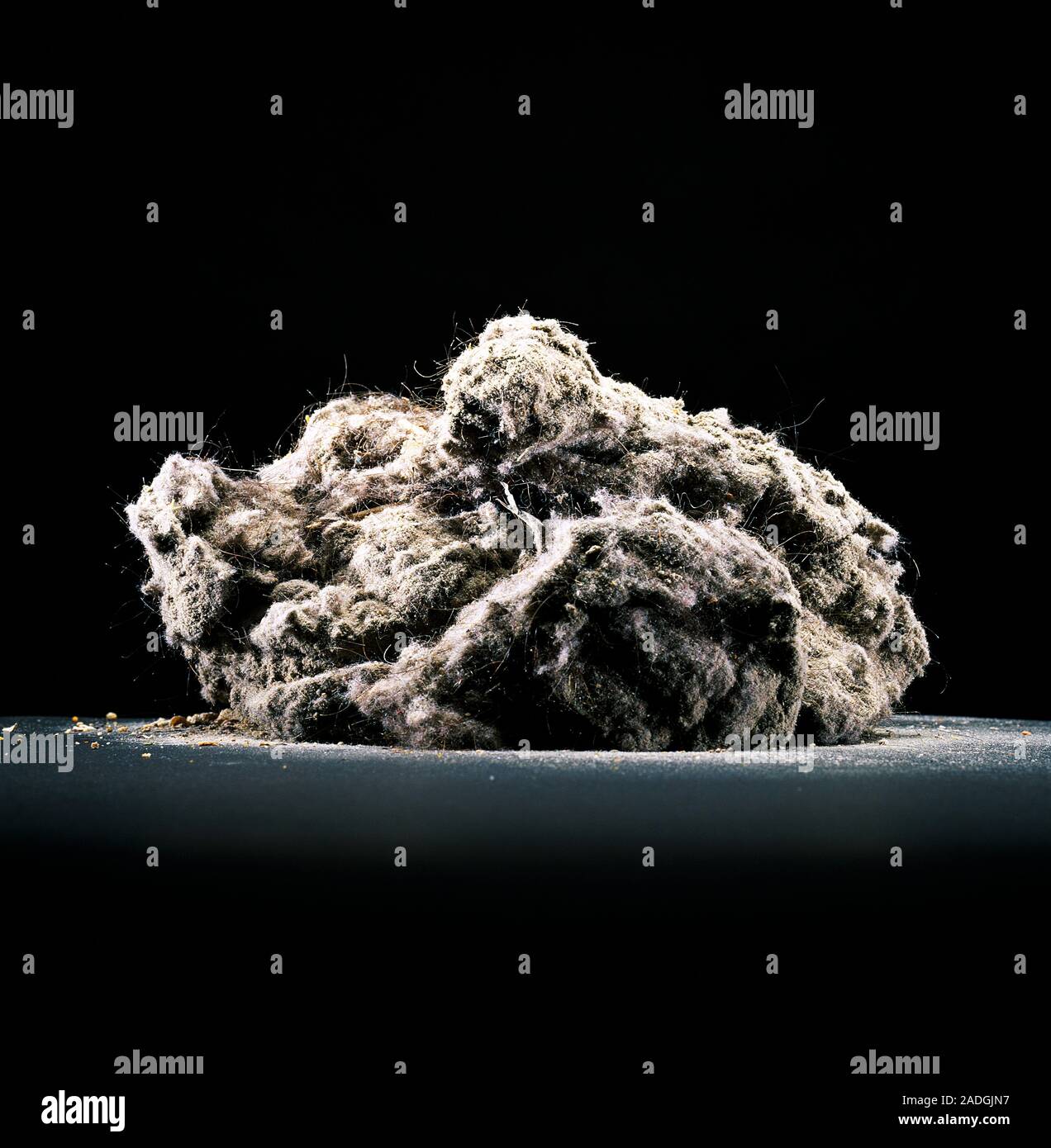 Household dust taken from a vacuum cleaner. Such dust comprises skin ...