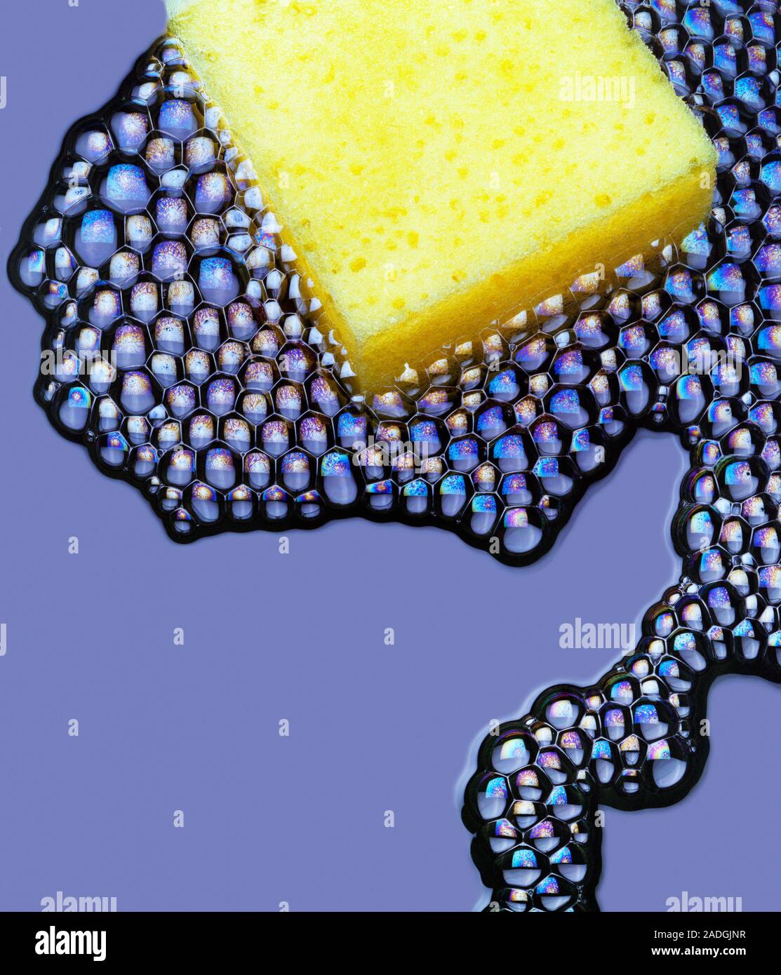 Sponge and soap bubbles Stock Photo - Alamy