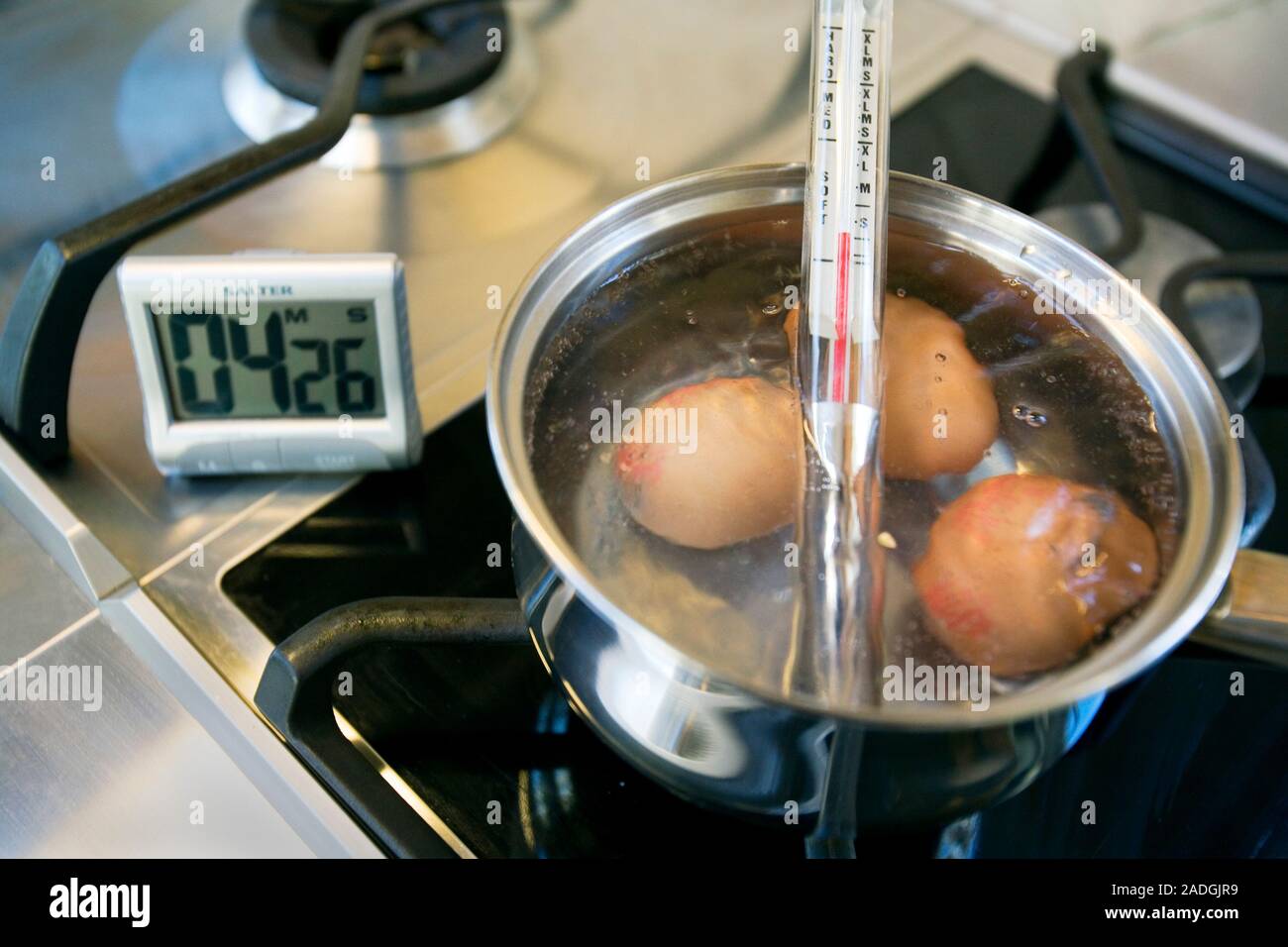Egg timer and boiling eggs. A device for timing boiling eggs to ensure ...