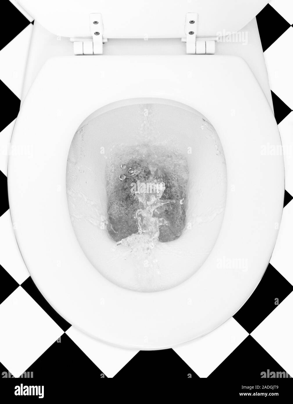 Toilet being flushed Stock Photo - Alamy