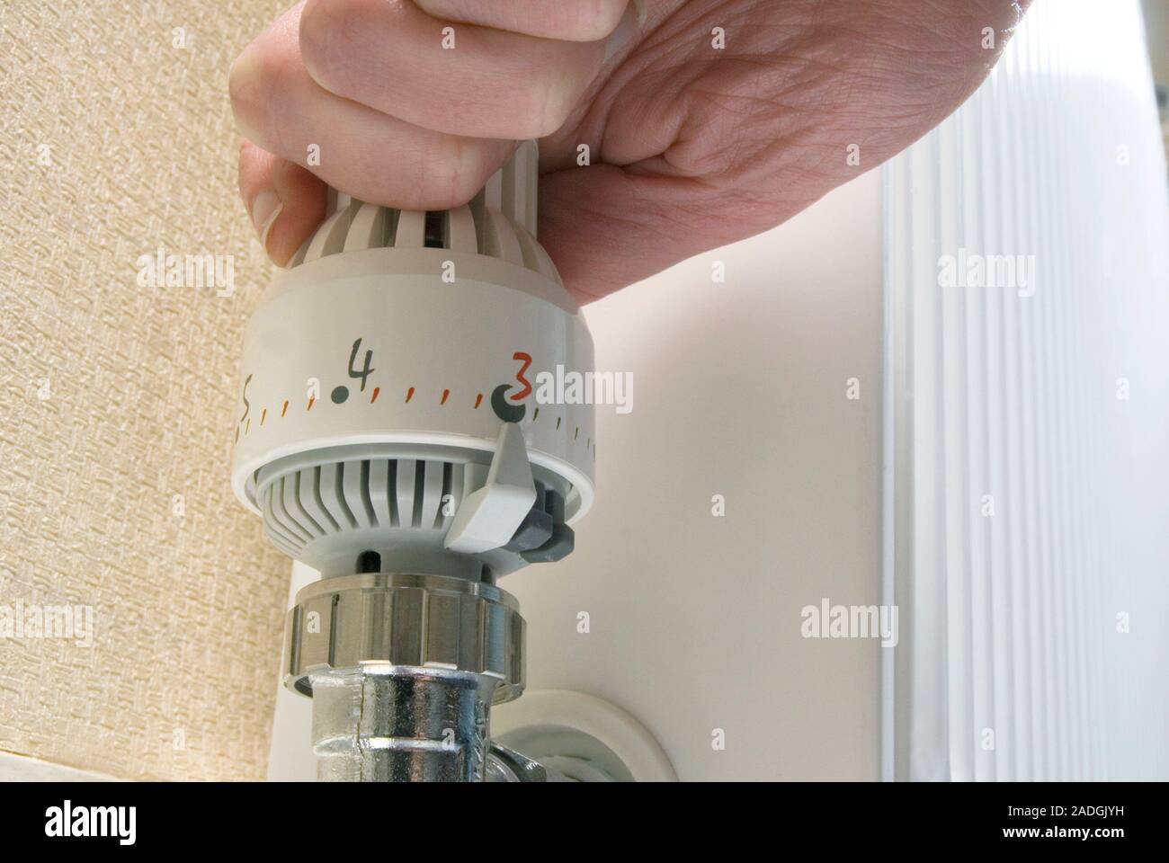 Thermostatic radiator valve. Person adjusting the temperature control ...