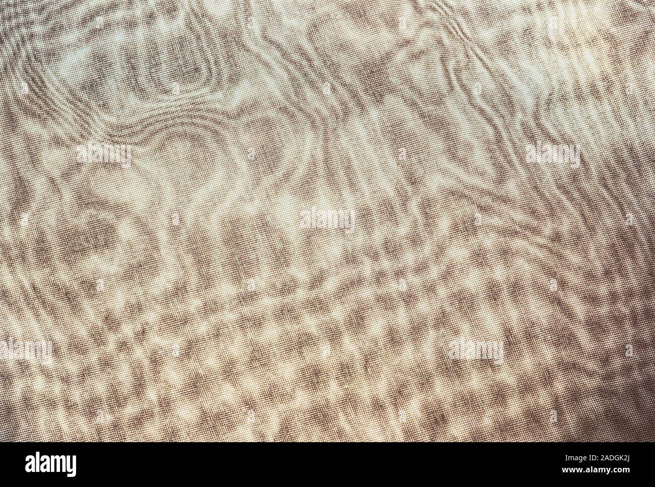 Moire effect. View of a Moire pattern on a piece of fabric. This is an ...