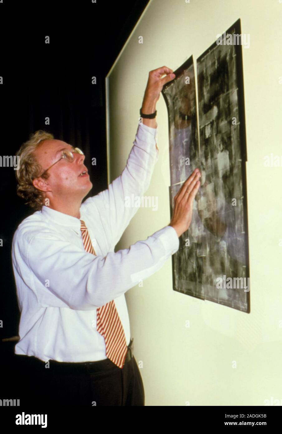 Art forgery detection. Dr Andreas Burmester attaches X-ray plates of a ...