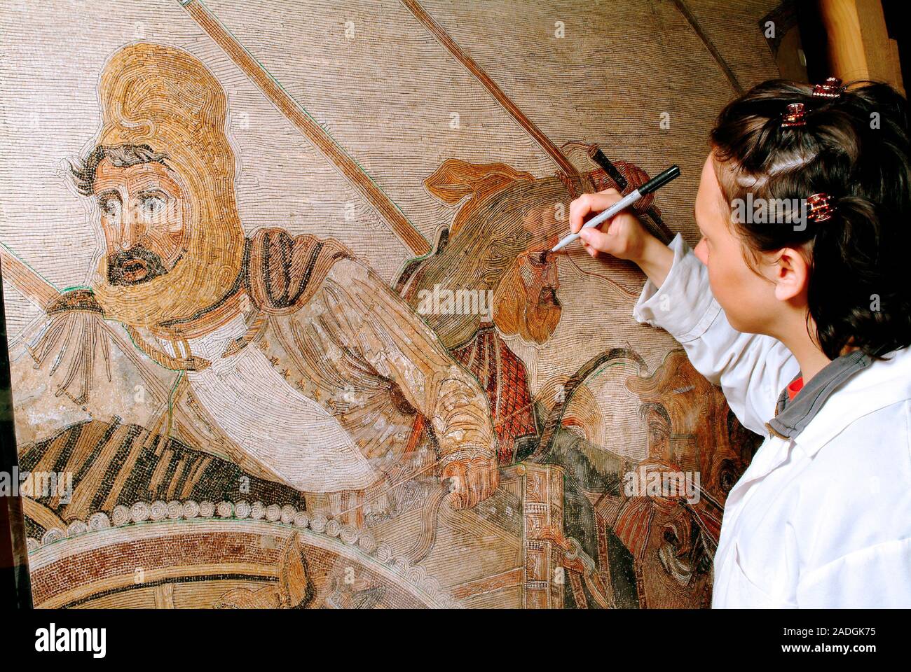 Battle of Issus mosaic reconstruction. Restorer working on a ...