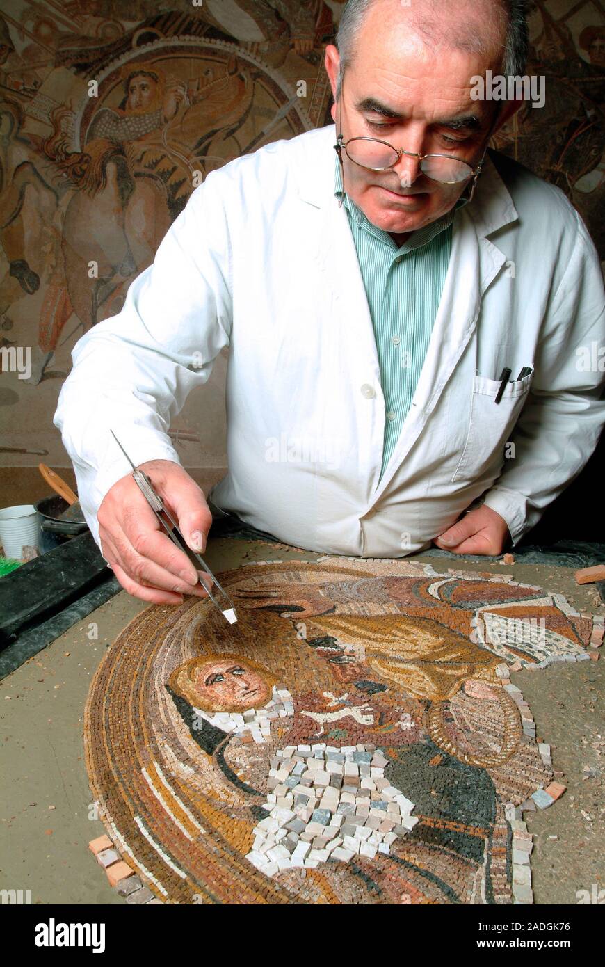 Battle of Issus mosaic reconstruction. Restorer working on a ...