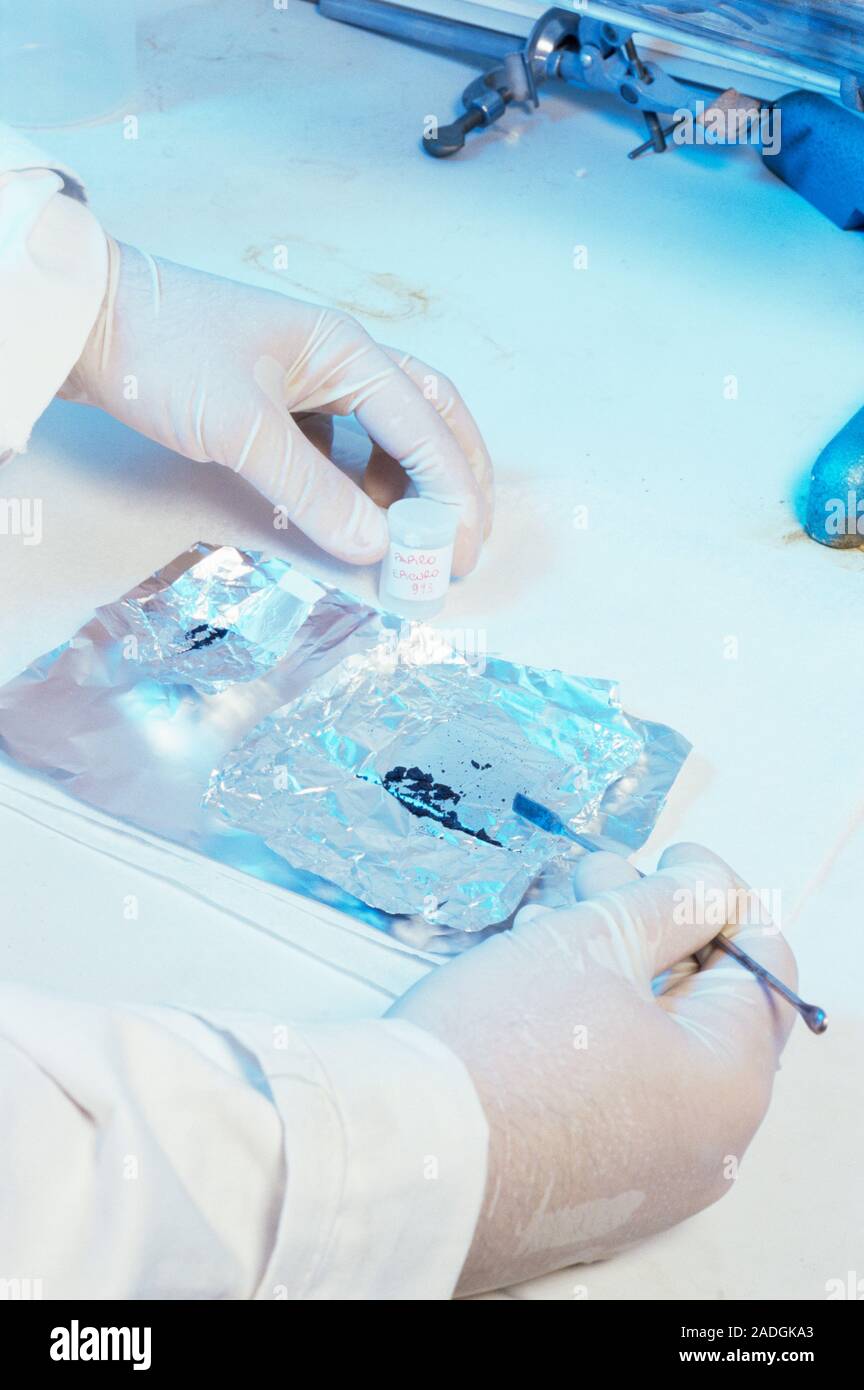 Researcher dating papyrus scroll fragments. These fragments are ...