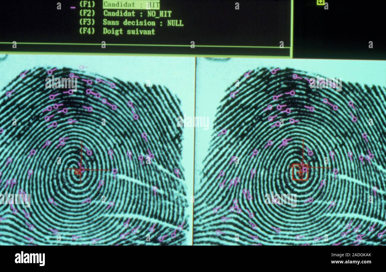 Digitised fingerprint records: computer screen display of digitised fingerprints, part of a ...