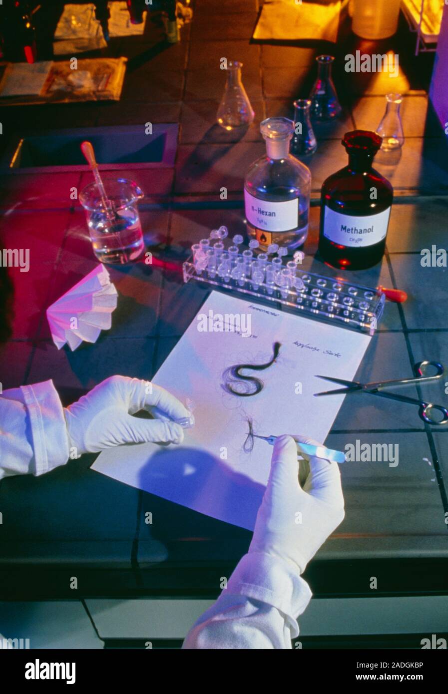 Forensic science. A hair sample from a suspected drug abuser is ...