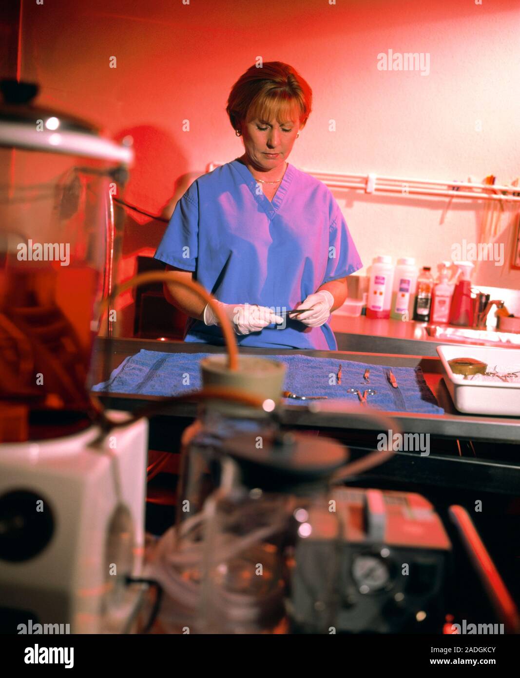 Forensic pathology laboratory. Forensic pathologist checking medical ...