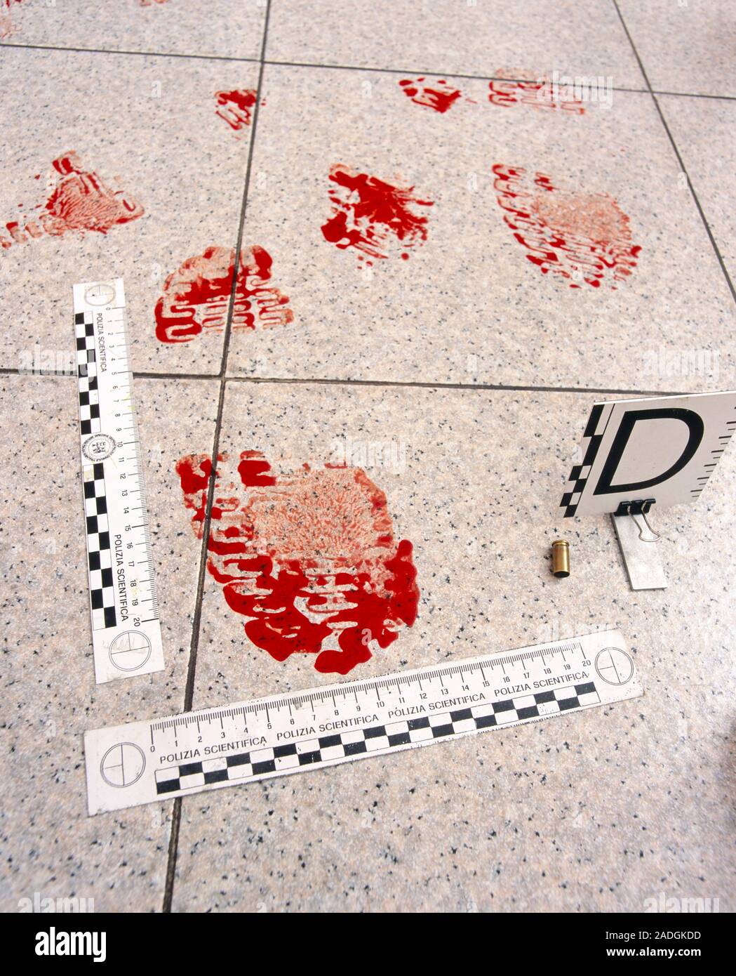 Recording evidence. Measurement and labelling of crime scene evidence ...