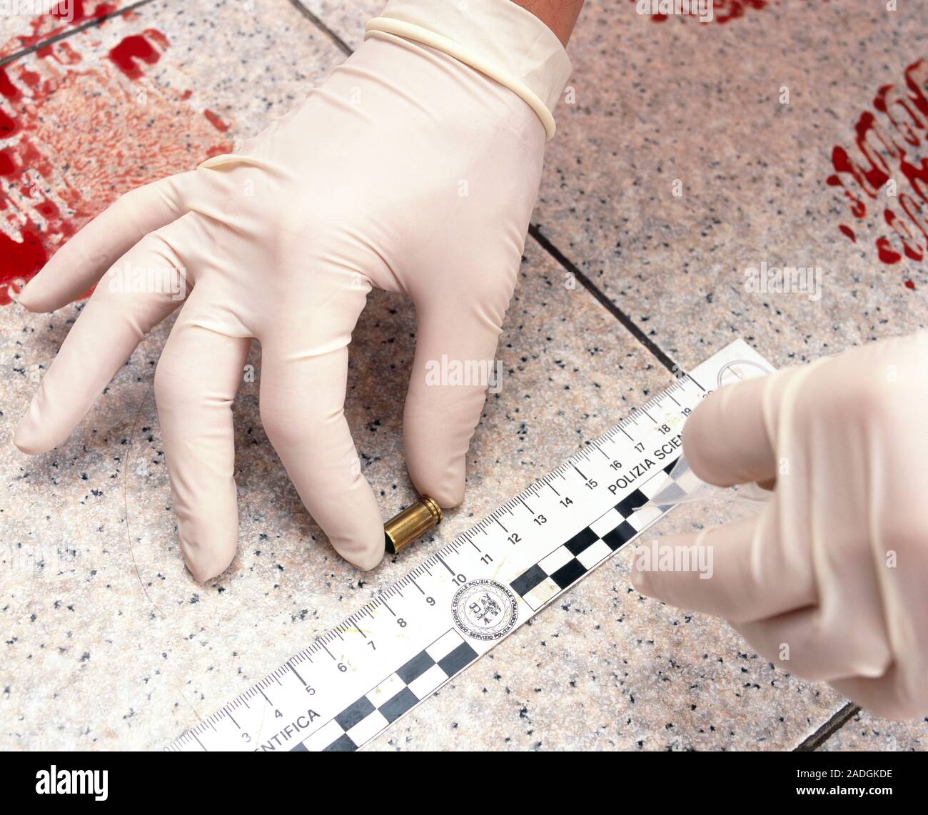 Collecting evidence. Forensic officer collecting a spent cartridge ...