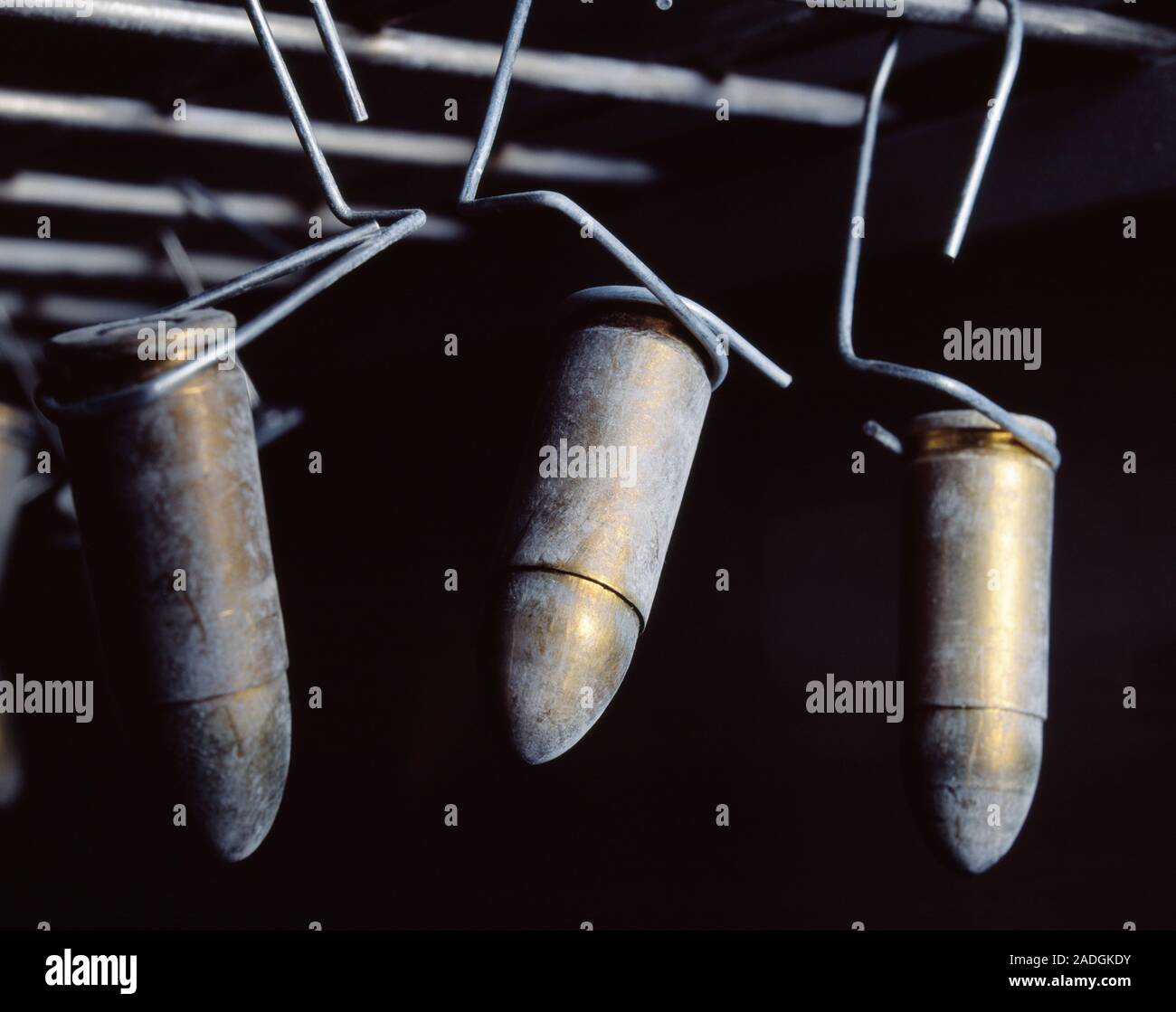 Fingerprint analysis. Unfired bullets hanging in a cyanoacrylate fuming ...