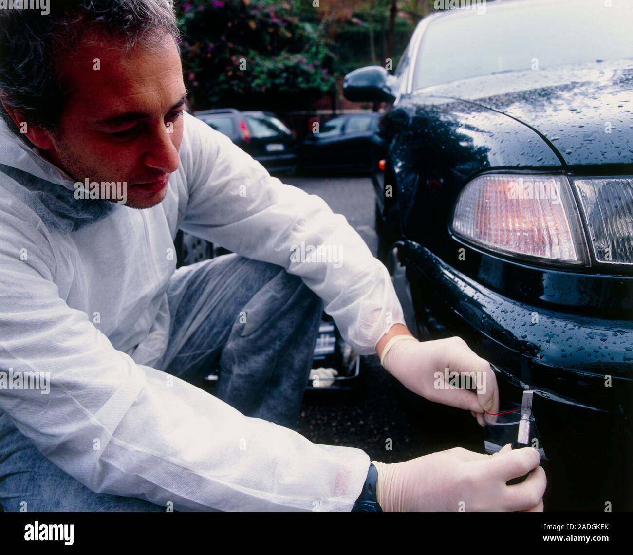 Collecting paint evidence. Forensic officer using a scraping tool to ...