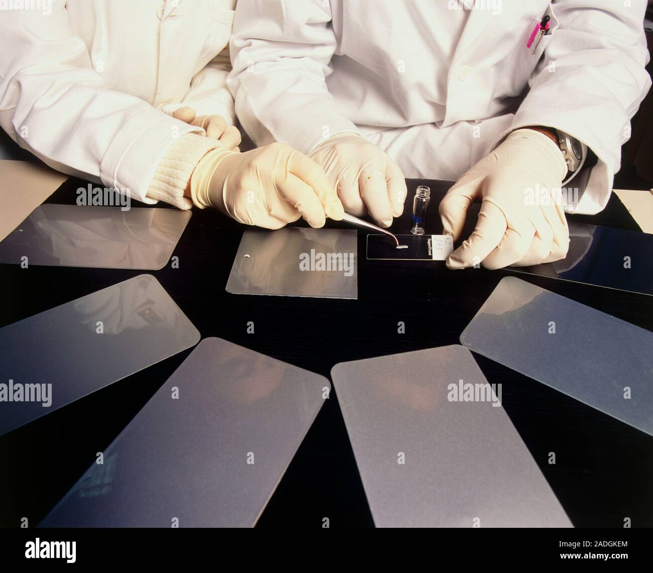 Paint analysis. Forensic scientists preparing to analyse a sample of ...