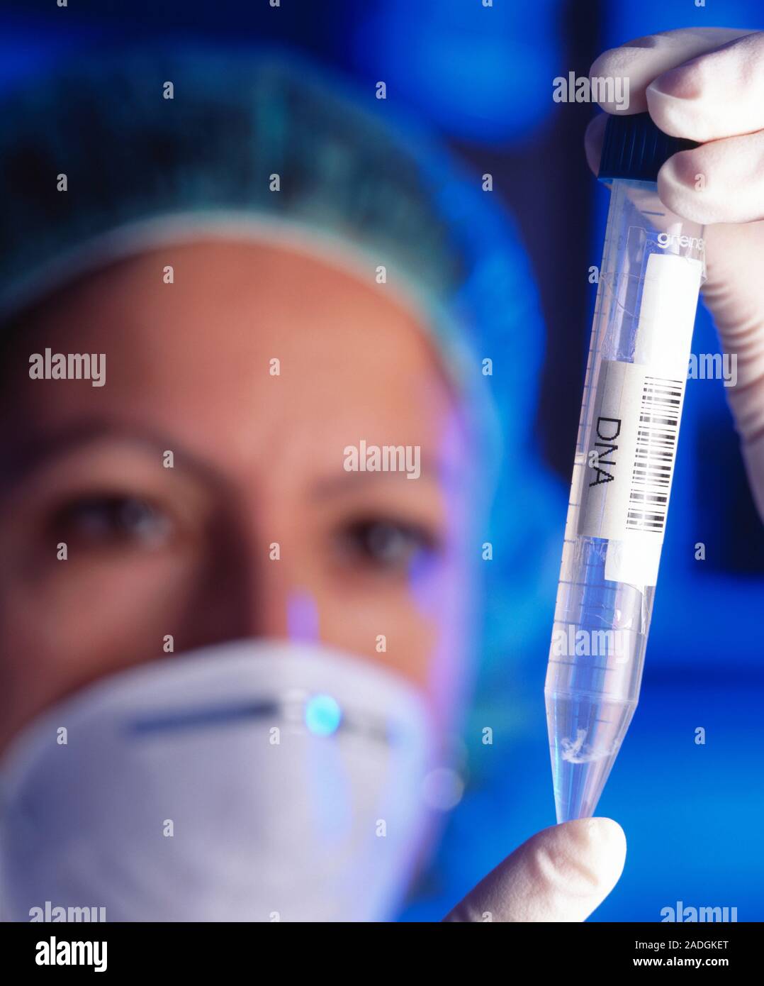Forensic DNA analysis. Forensic scientist holding a vial containing DNA ...