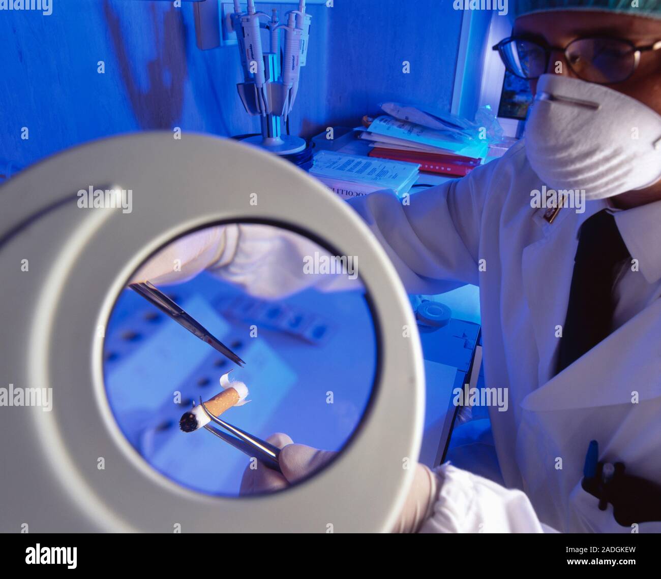 Forensic analysis. Cigarette butt seen through a magnifying glass as a ...