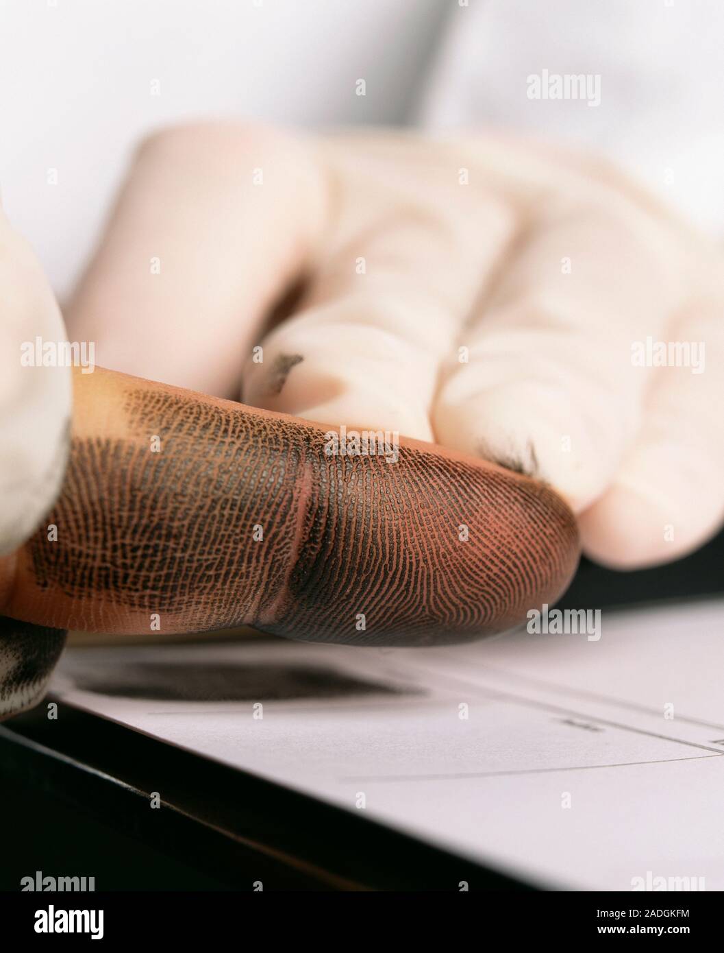 Fingerprinting suspect. Inked finger of a suspect who is being ...