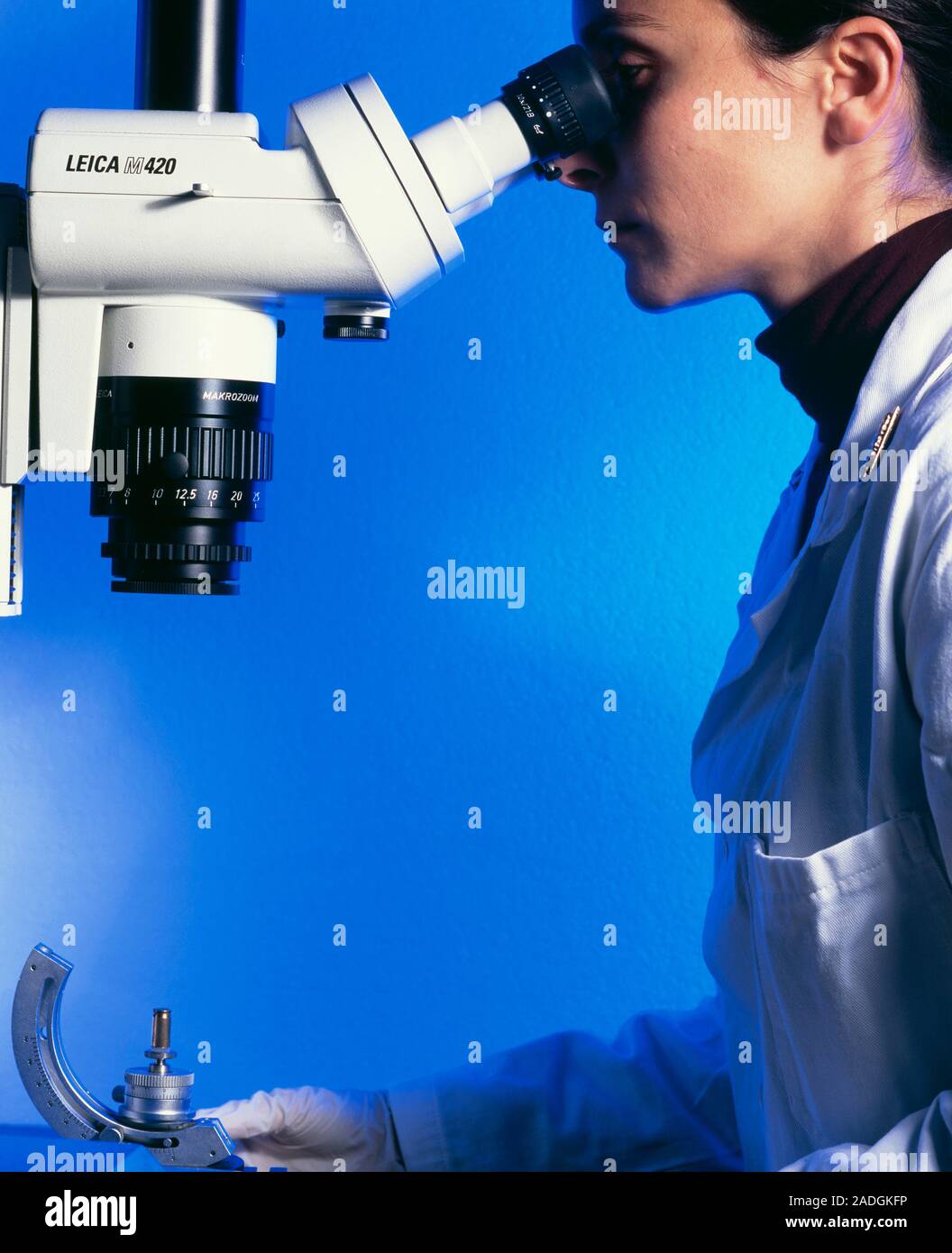 Examining used bullet cartridge. Cartridge shell being examined with a ...
