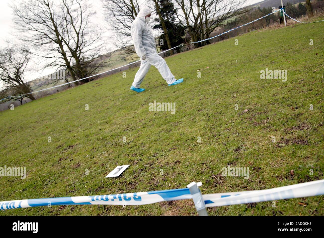 Forensic training. Scene of crime officer (SOCO) walking through a ...