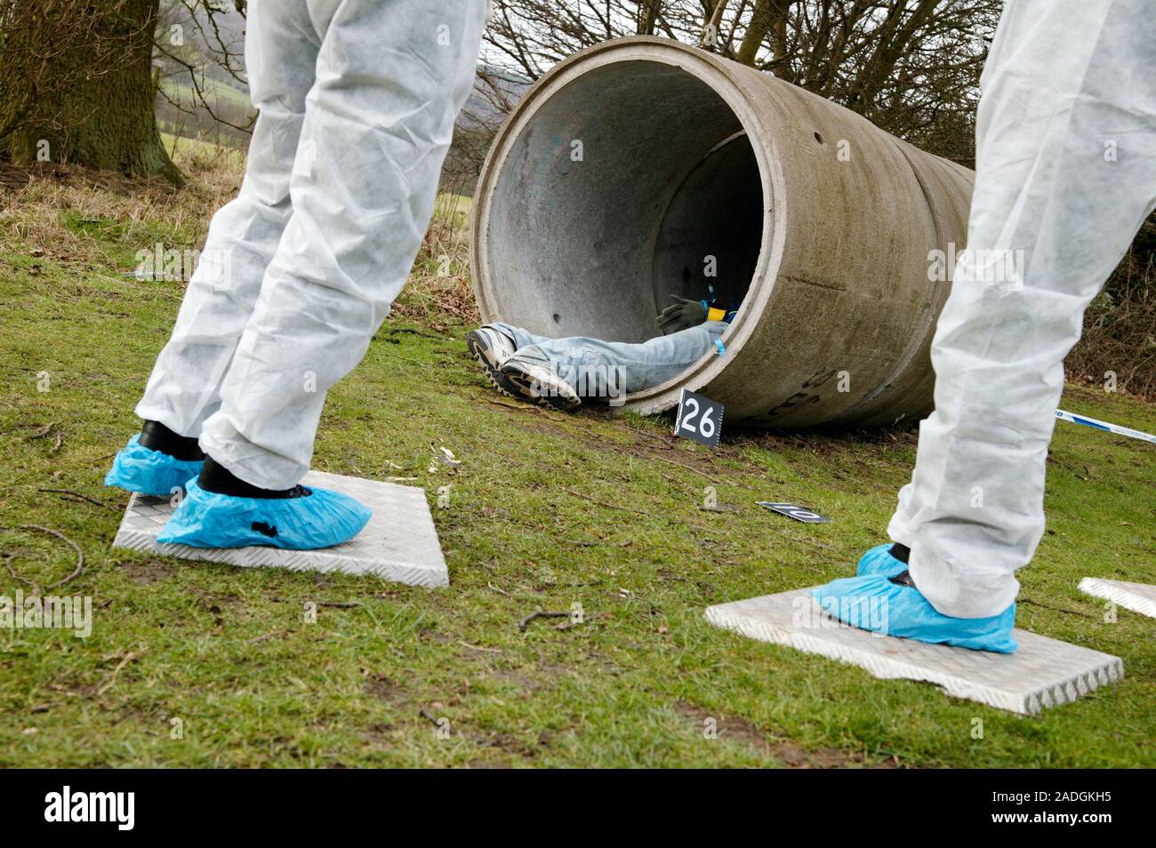 Forensic training. Scene of crime officers (SOCOs) approaching a dummy ...