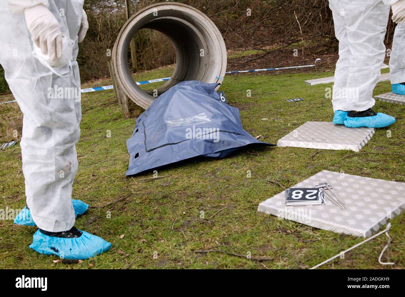 Forensic training. Scene of crime officers (SOCOs) standing near a body ...
