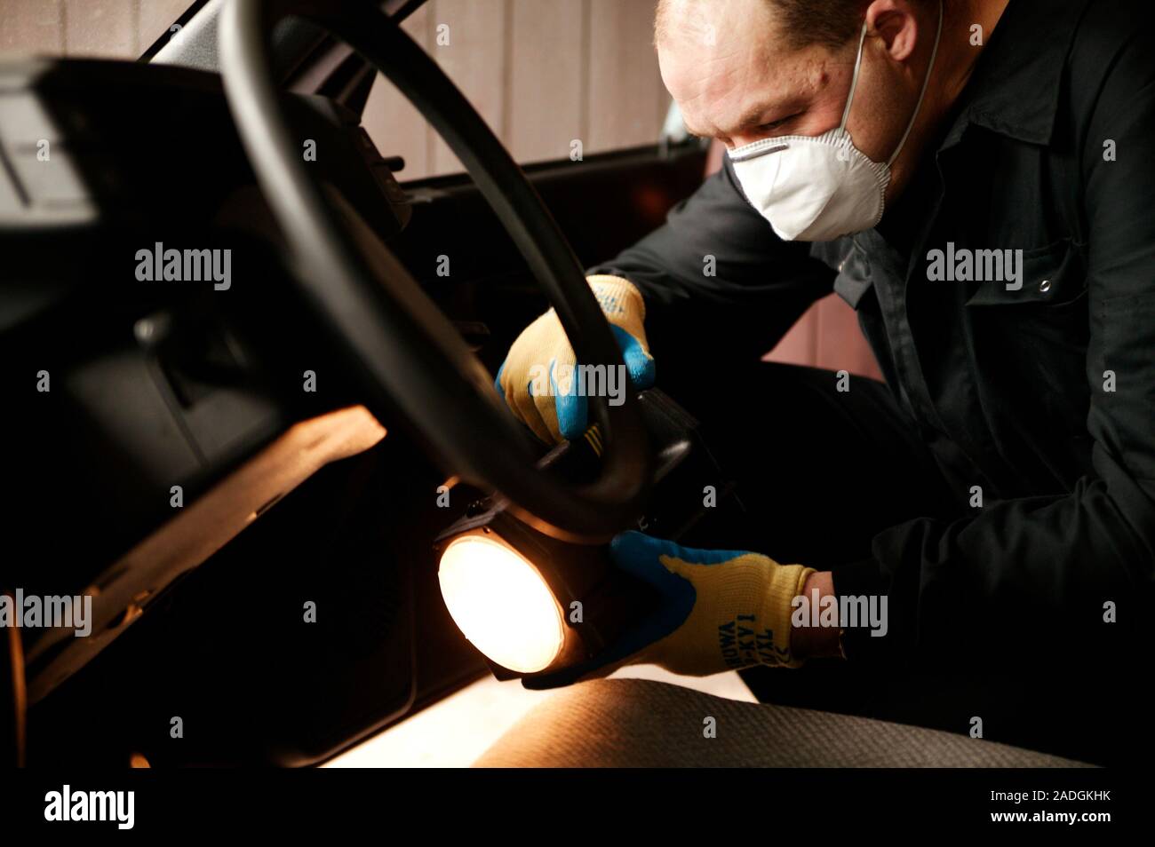 MODEL RELEASED. Collecting evidence. Scene of crime officer (SOCO ...