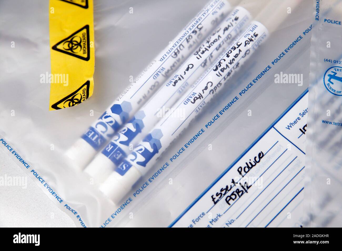 Forensic evidence. Police evidence bag containing three swab sample ...