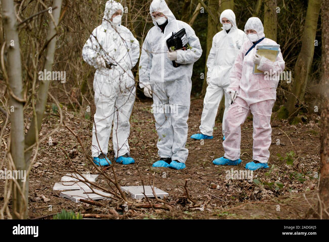 MODEL RELEASED. Forensic training. Scene of crime officers (SOCOs ...