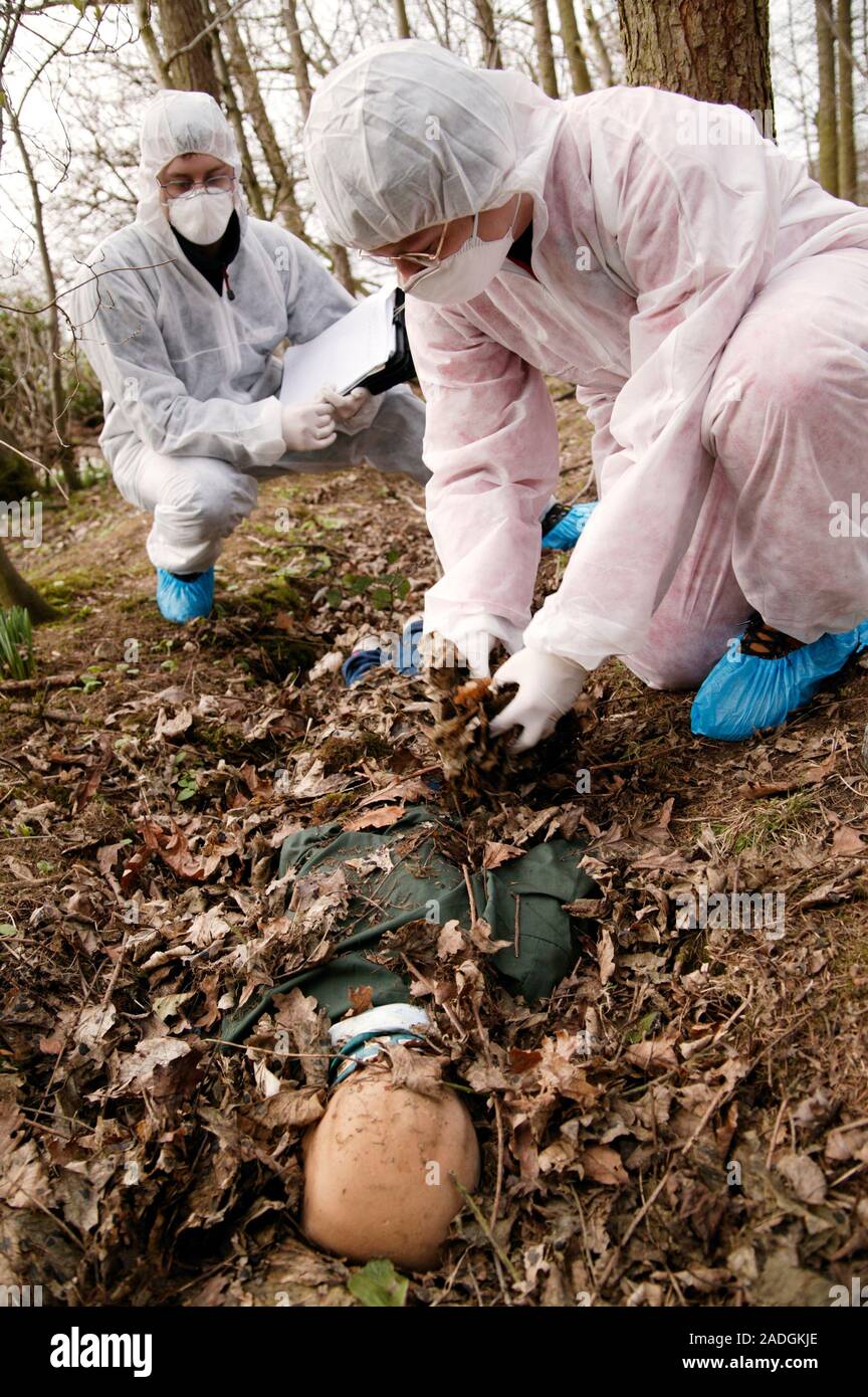 MODEL RELEASED. Forensic training. Scene of crime officer (SOCO ...